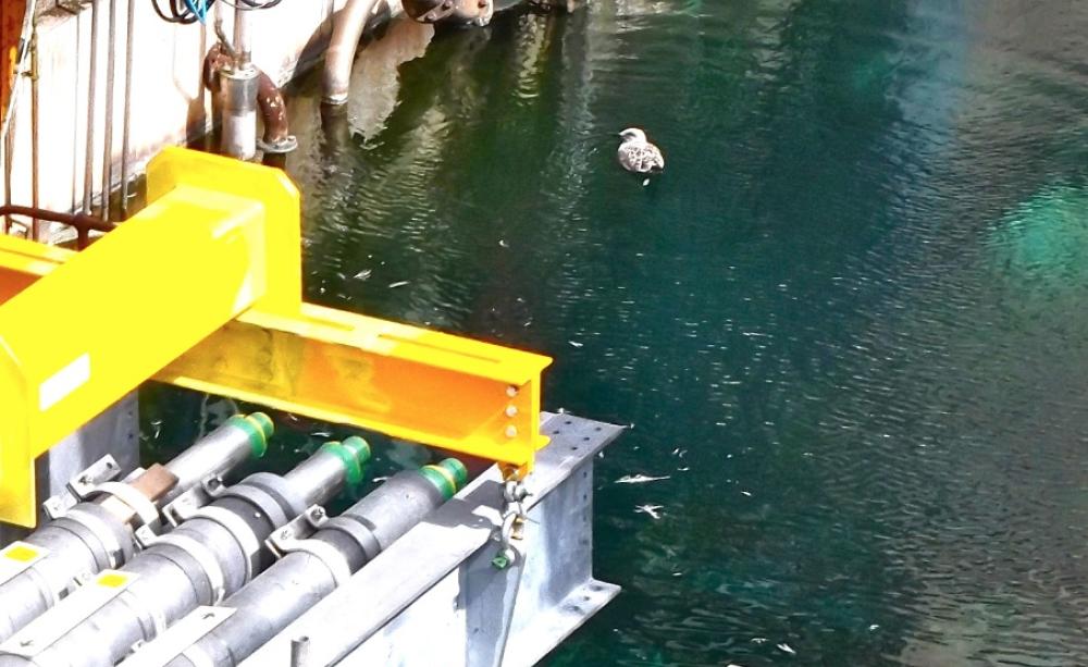 The Ecologist places leaked Sellafield fuel pond photos in public domain
