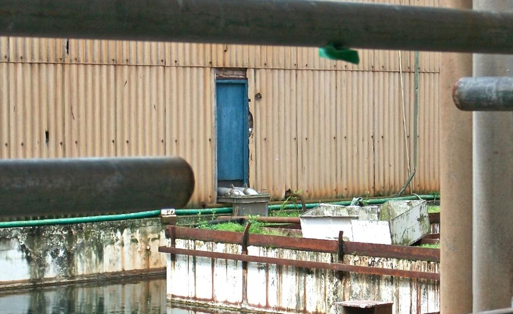 The Ecologist places leaked Sellafield fuel pond photos in public domain